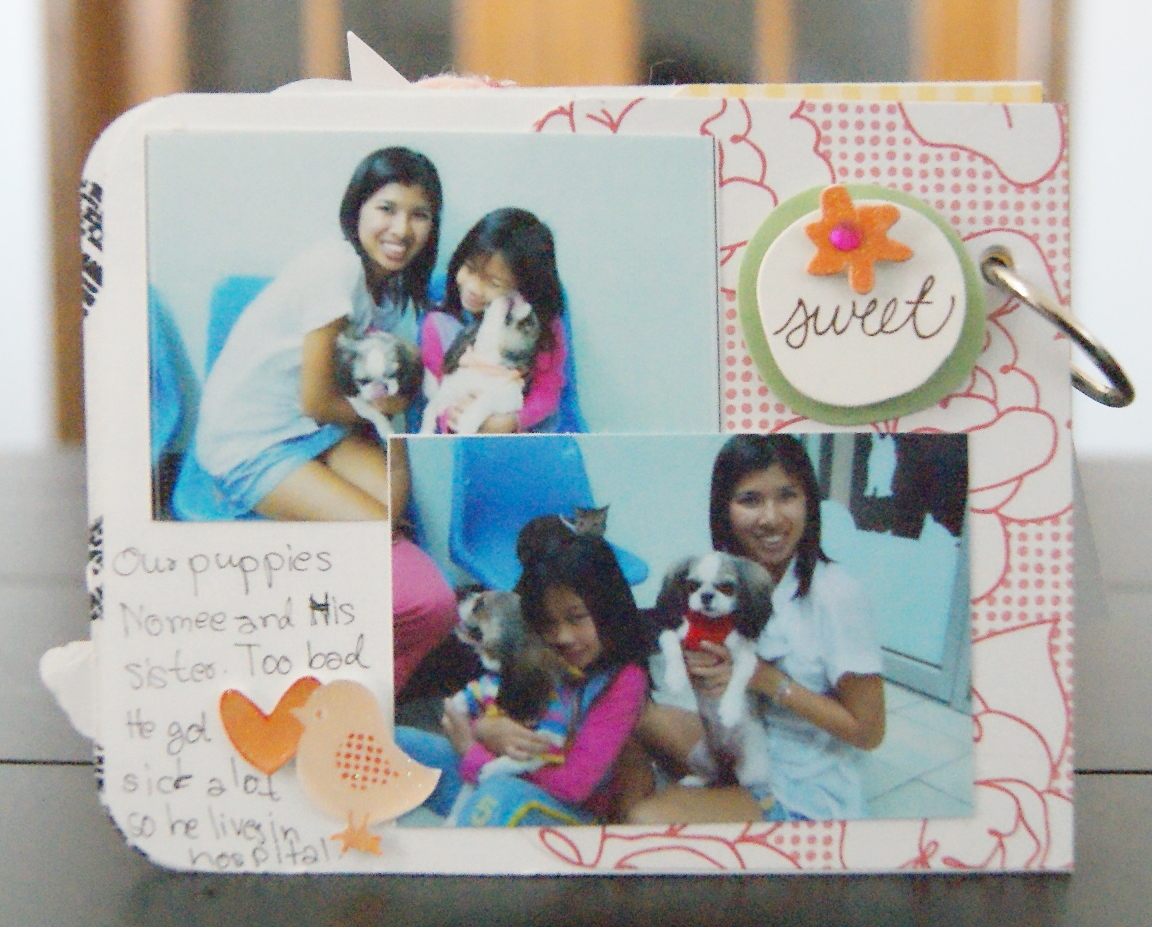 Awesomeness Of Crafting Simple Mini Album