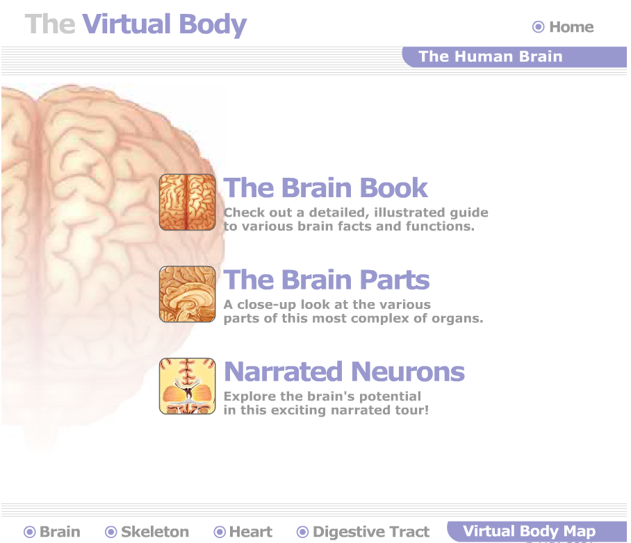 Great Websites To Teach Anatomy Of The Human Body In 3d Faculty Of