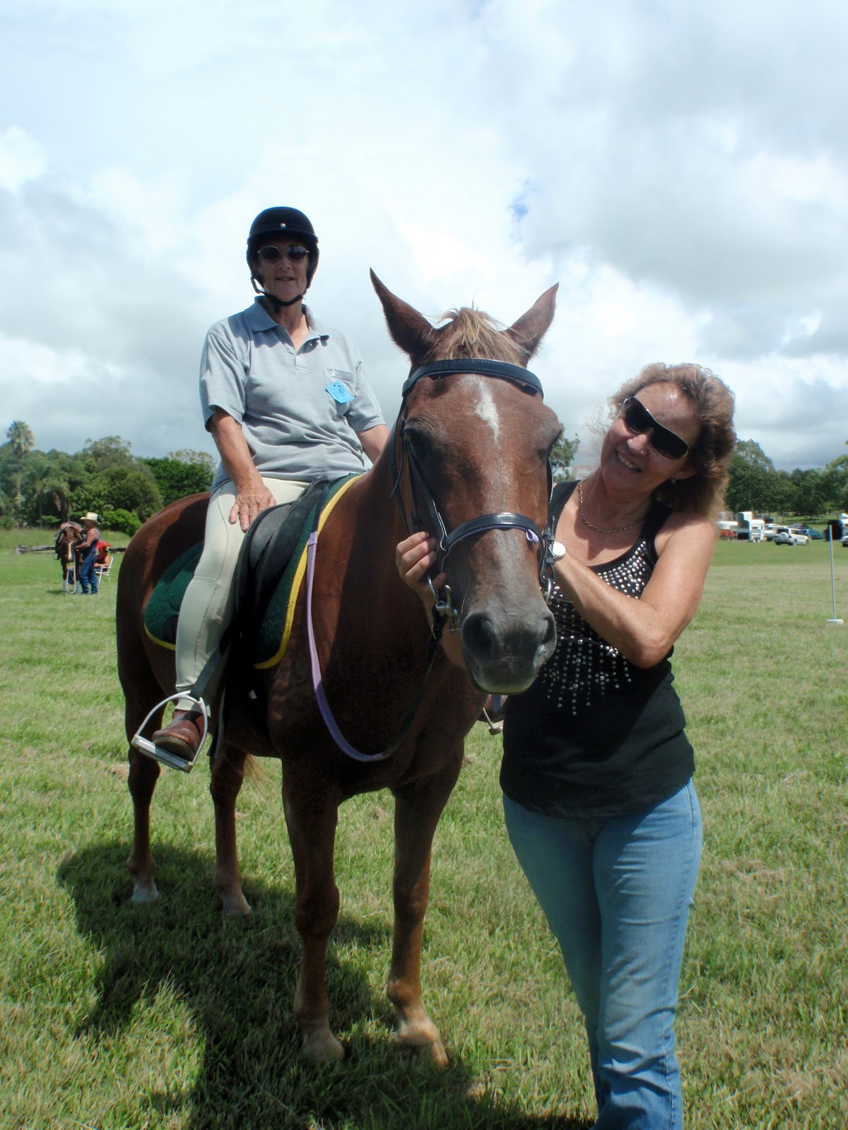 Save a Horse Australia Horse Rescue and Sanctuary: Bobbie is going well