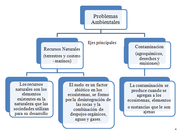 Cultura Ambiental Problemas Ambientales Semana 4
