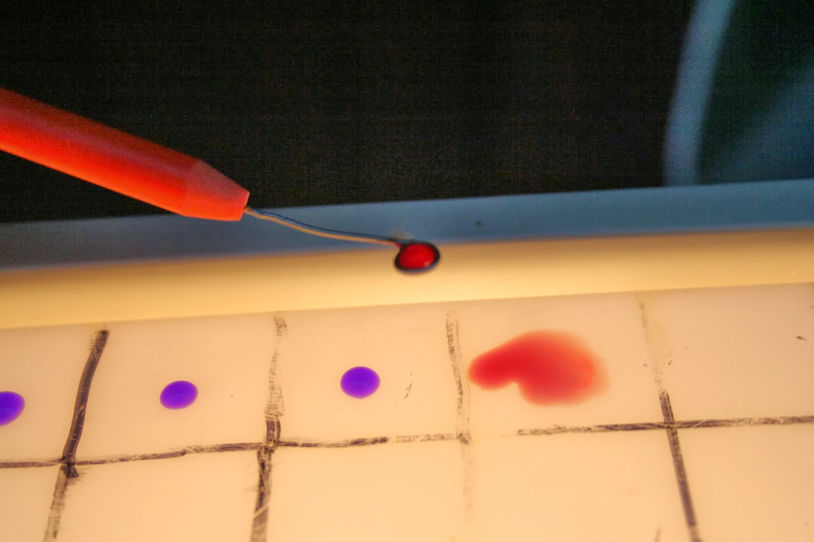 Chicken Scratch Poultry Npip National Poultry Improvement Plan