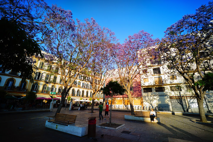 dontplayahate: Bodegas El Pimpi 「マラガの一番美味しいタパスレストランは エル ピンピ」