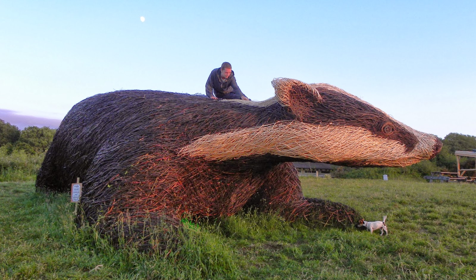 Willow Sculpture Commissions