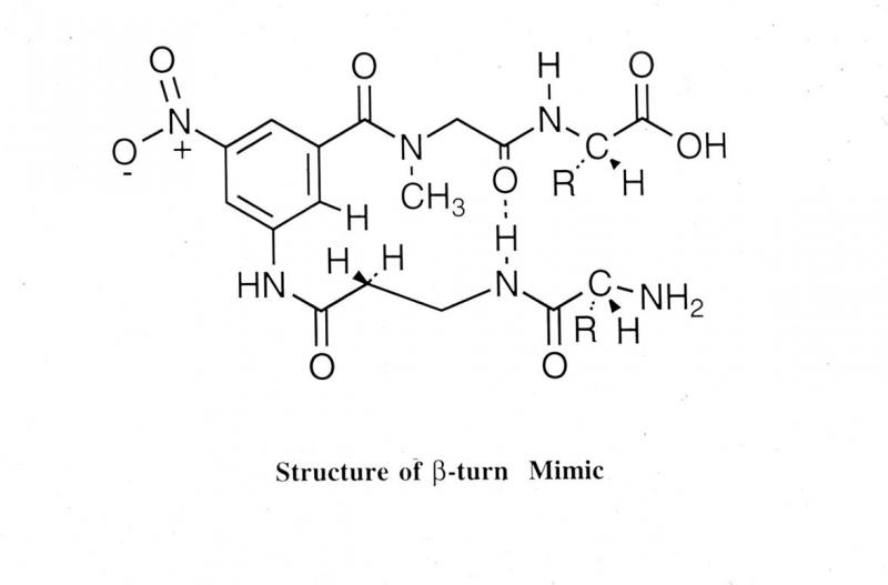 Rani Winda Paramuditha: STRUKTUR PROTEIN