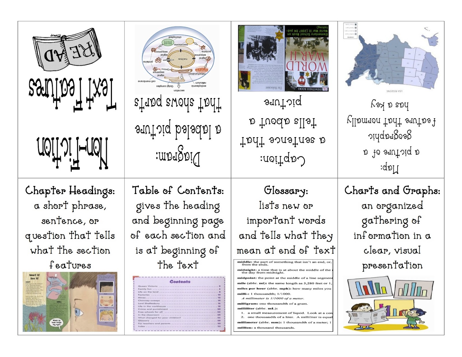 Nonfiction Text Features Worksheet E Streetlight