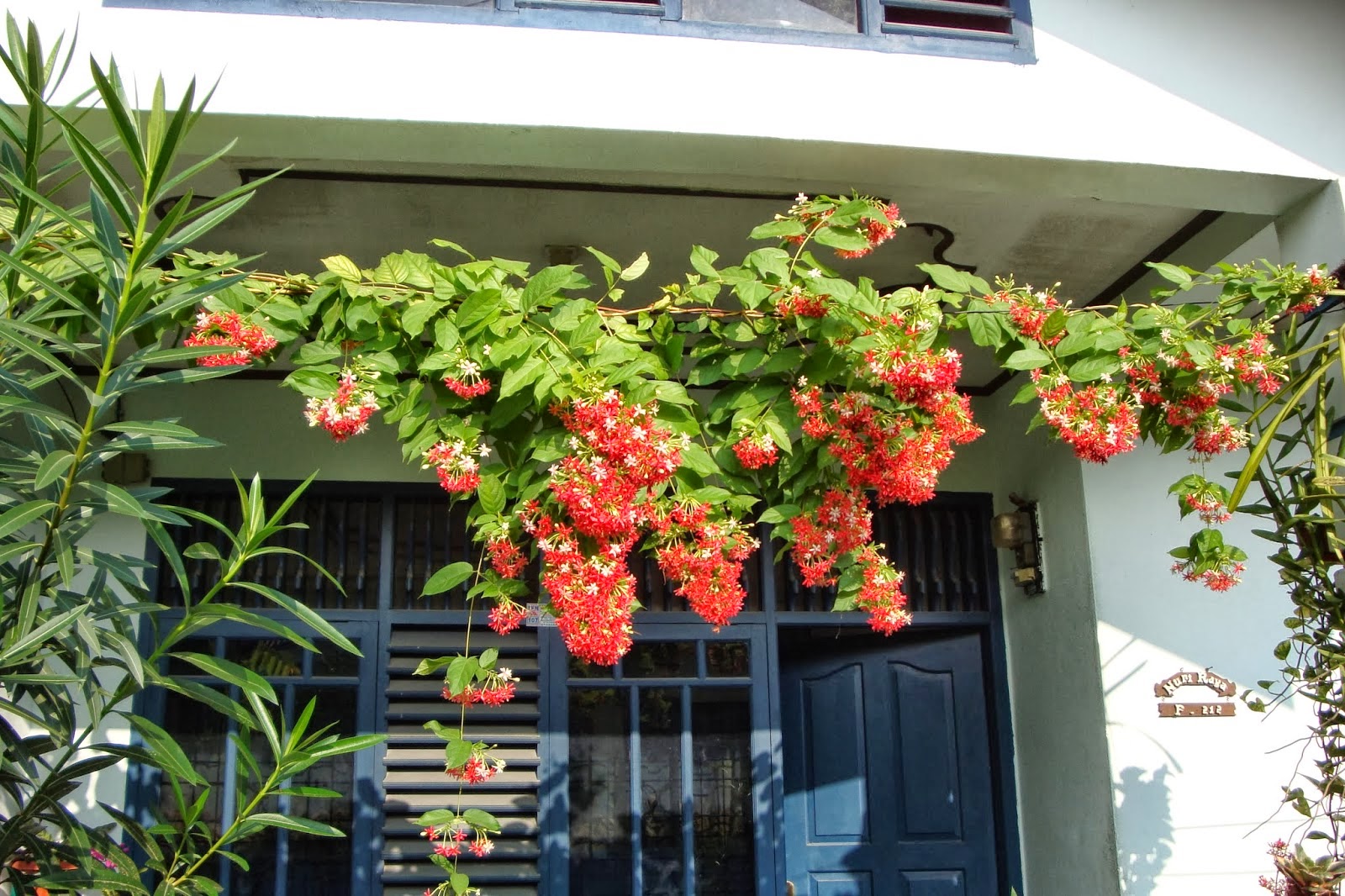 Populer 34+ Kanopi Rumah Belanda