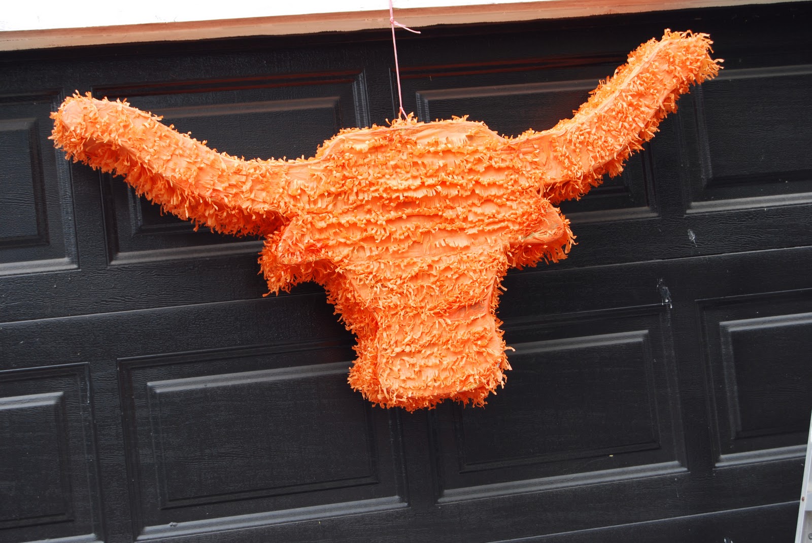 The Exnicious Page: "bevo texas party at austin"