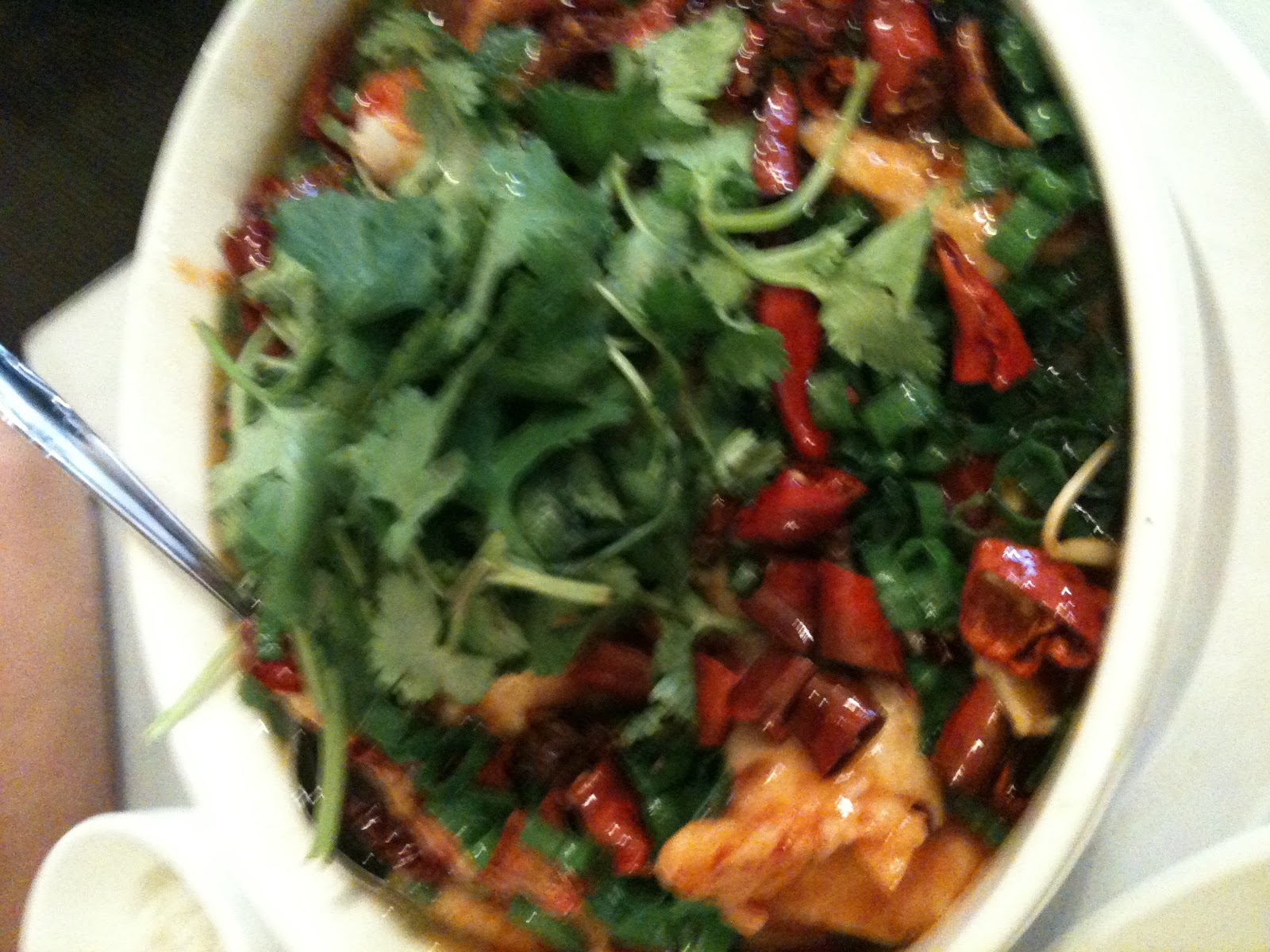 ruirui: Day 7, 8, 9. Shengyang food,Sichuan food and Chongqing food