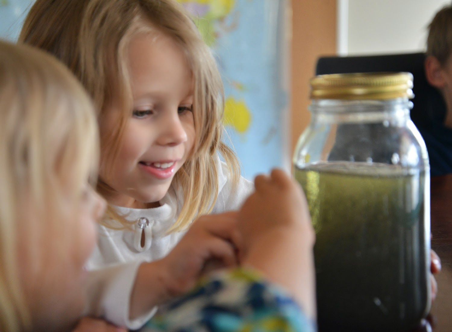 A School Of Fish Making 3 D Magnetic Fields