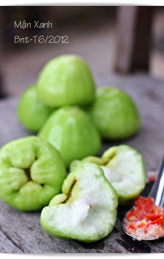 Trái mận xanh | Bếp Nhà Tui