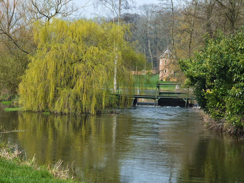 Bure River Walk from Coltishall to Brampton ~ Griffmonsters Great Walks