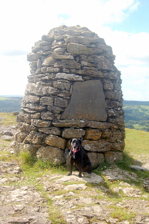 Walk Report - Whitbarrow (Outlying Fell) • Walkhighlands