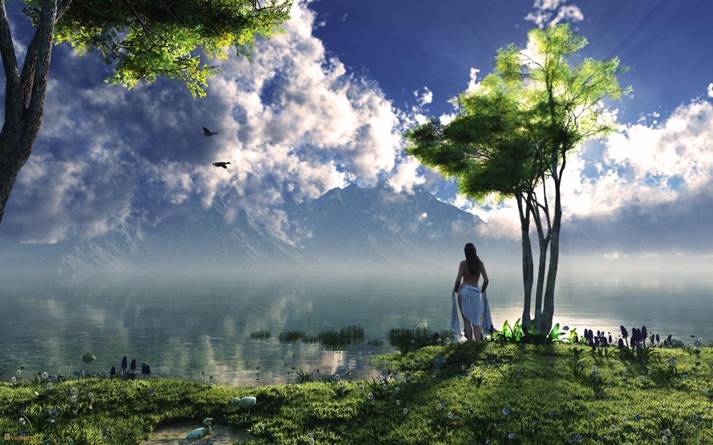 windows xp ,windows 7: Poze Windows 7