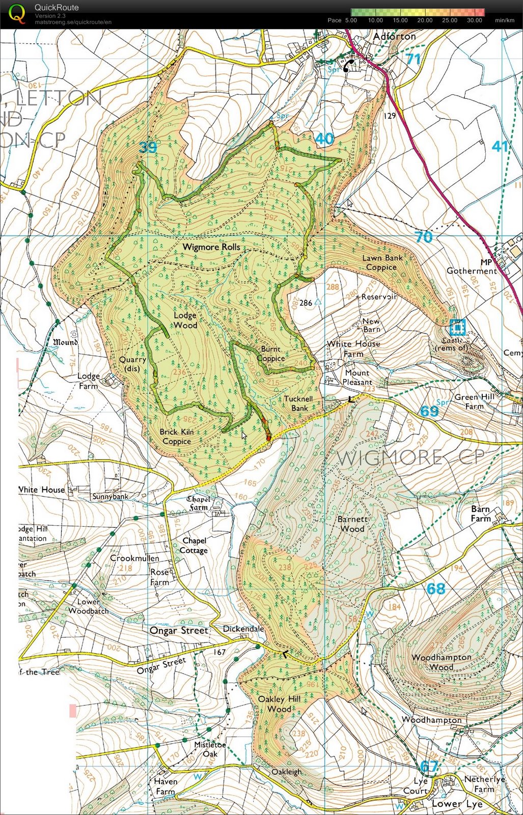 David D Williams: Wigmore Rolls, Cross of the Tree, Yeld