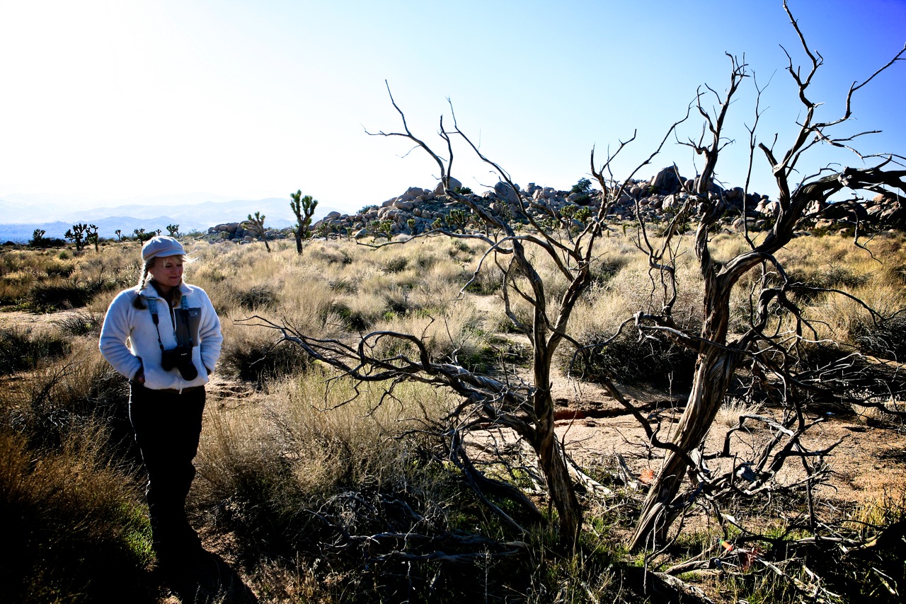 My Scenic Byway: A Walk in the Desert
