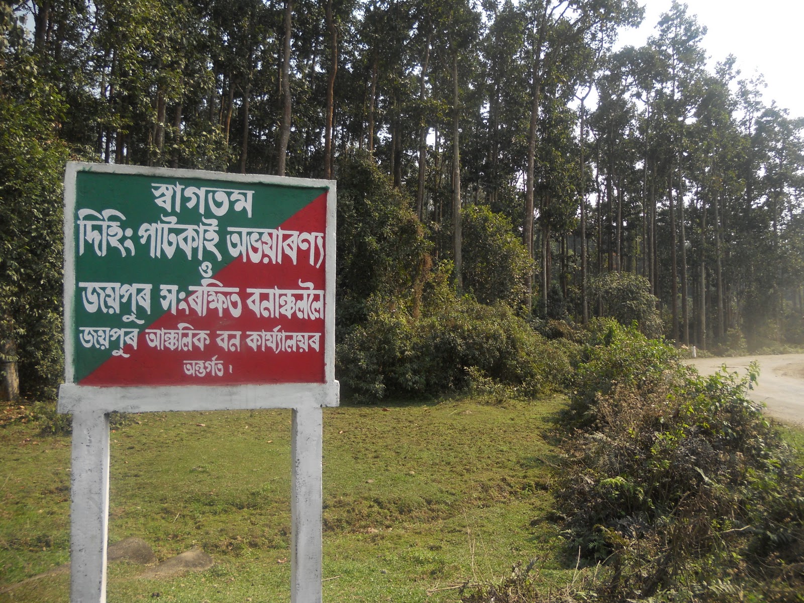 Rainforest of Assam: ECO-TOURISM