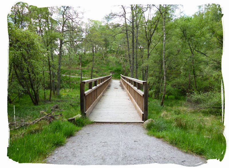 Walk Report - The Deeside Way - Aberdeen to Ballater • Walkhighlands