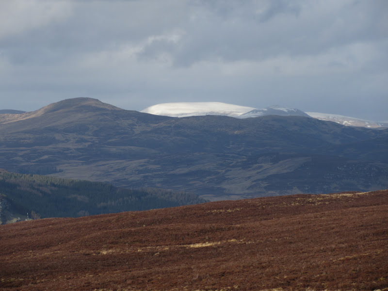 Walk Report - Perthshire Stragglers (2016 version) • Walkhighlands