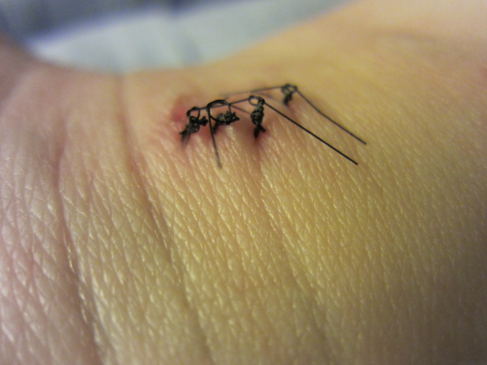 on my honor...: Monika's birthday and some stitches.