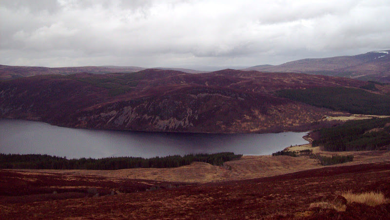 Walk Report - Meall Mor - a tale of two lochs • Walkhighlands