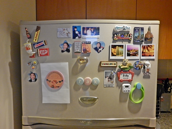 The Domestic Goddess (and Family!) Take Bangkok: Our Ref Magnet Collection