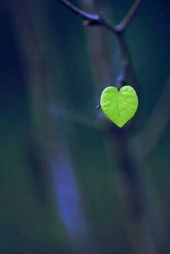 Nature has a reminder for you....