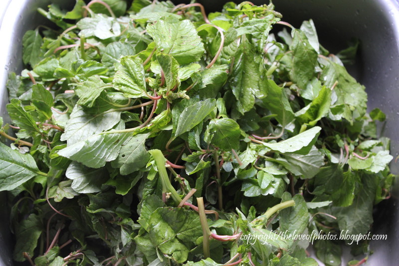 Red Needle's Tropical Passions: Callaloo Quiche