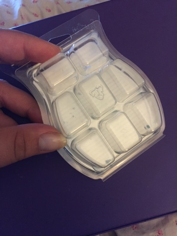 Repurpose Scentsy Clam Shells – The Suddenly Mama Blog