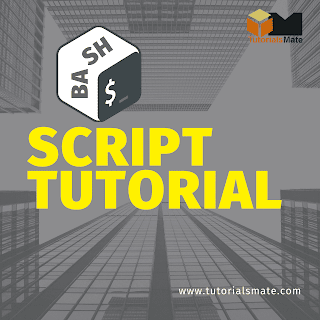 Bash Script Tutorial Guide To Bash Scripting Tutorialsmate