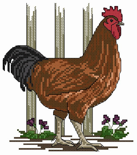 Rhode Island Red - Counted cross stitch patterns and charts
