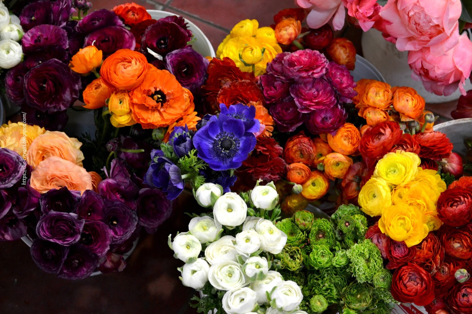The Citygirl De Paseo Terminal De Flores Coproflor