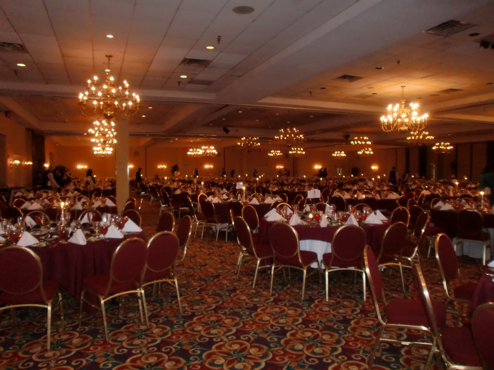 HOSA NEC 2010-2011: Virginia HOSA SLC