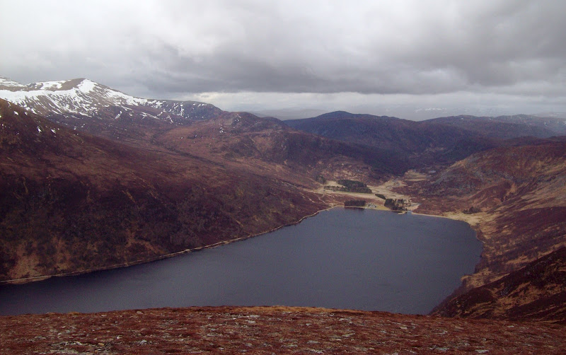 Walk Report - Meall Mor - a tale of two lochs • Walkhighlands