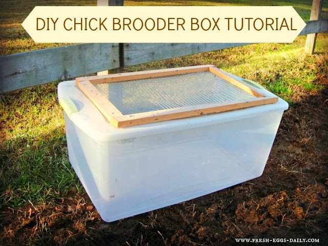 Chcken Coop Easy Diy Chick Brooder Box Tutorial