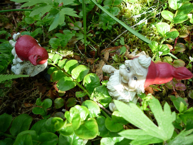 The Roaming Gnome: Roamy's Finland Connection