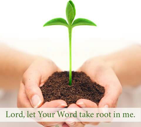 Lord, let your Word take root in me ~ Catholic Youth Association Mon