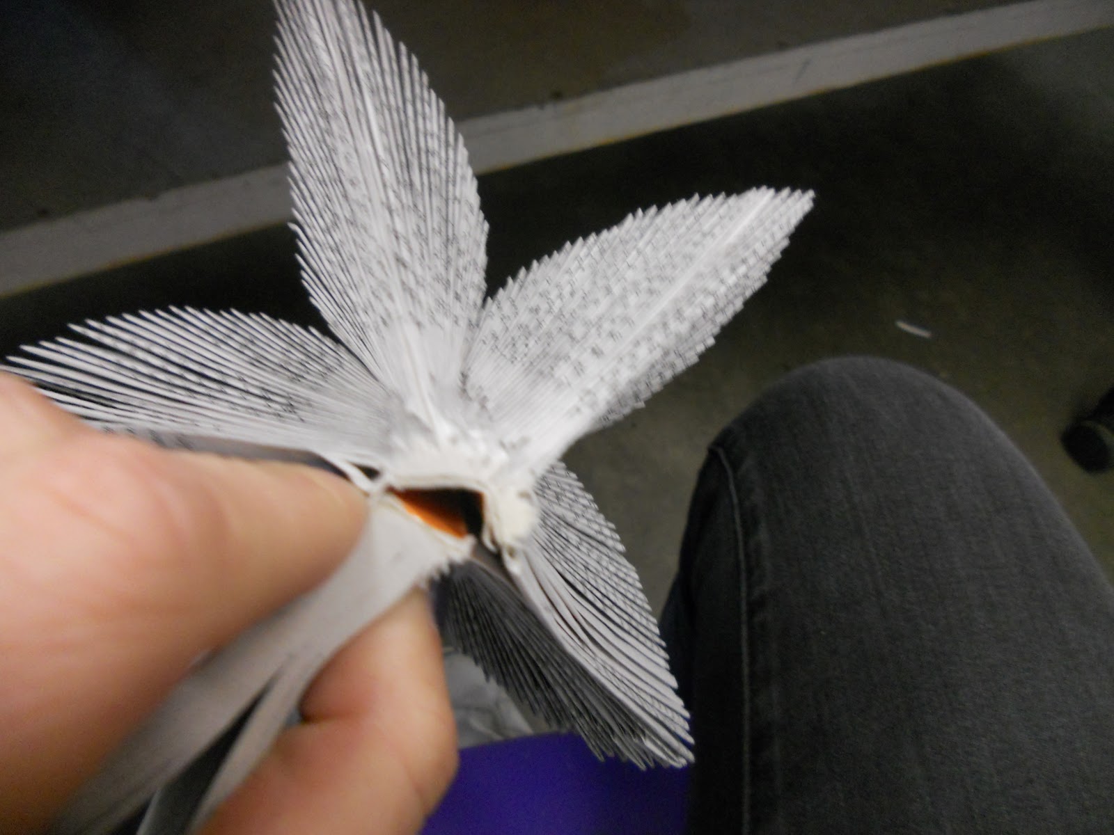 Basic Design 2: Project 2: Serial Planes Studies