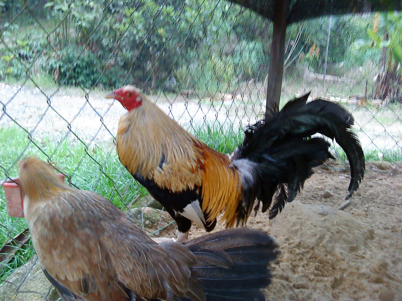 Wb8b@Cirj GameFarm