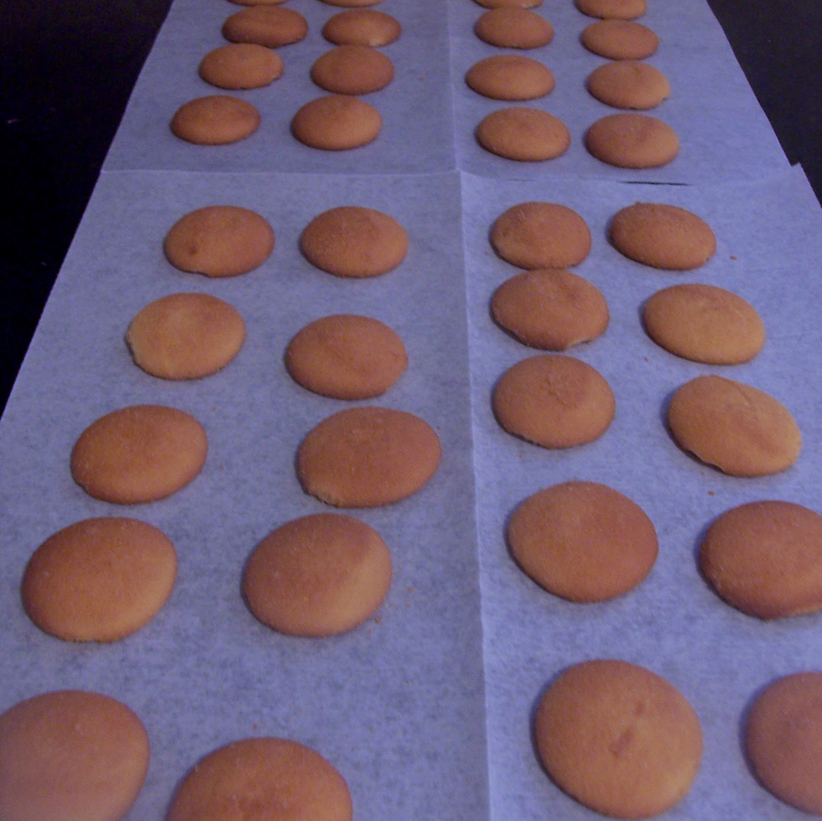 Sweet Baby {Mason} James: Girl Scout Knock Off Cookies