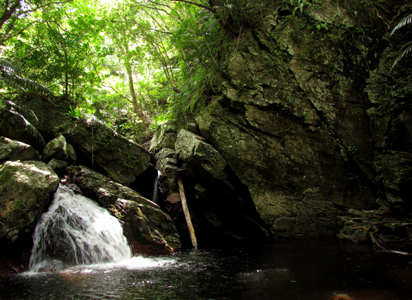 Map It! Okinawa: "River Trekking the Takazato River"