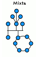 REDES: Topologias de Red