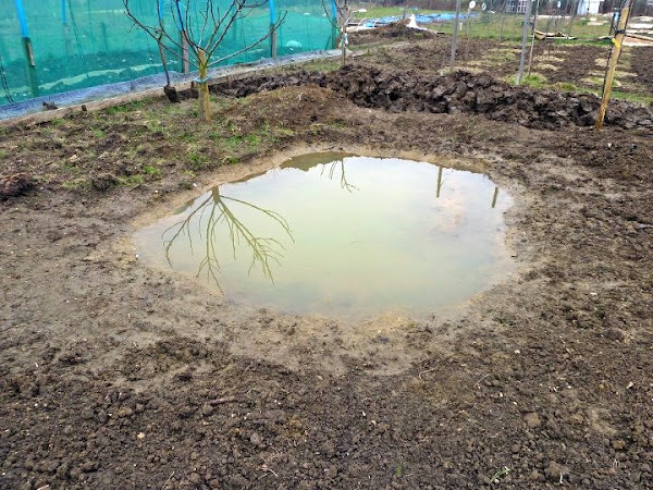 Allotment Heaven: Making a clay lined pond