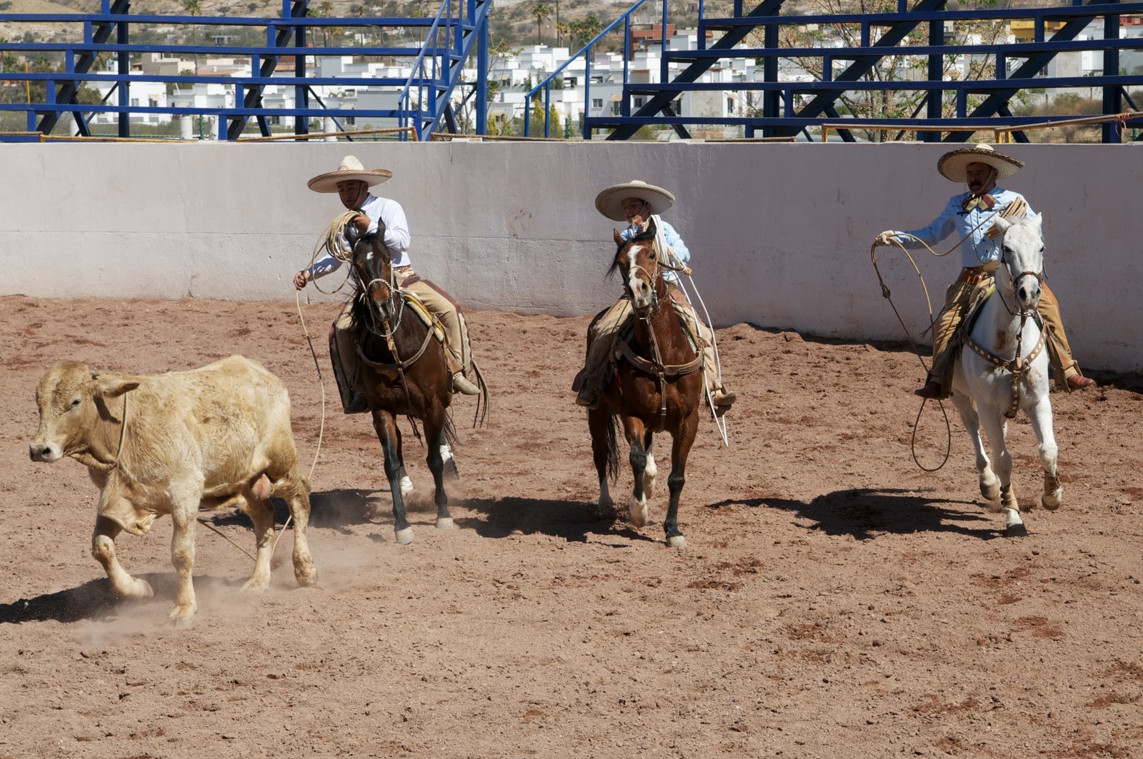 The Macs in Mexico: The San Miguel Rodeo!