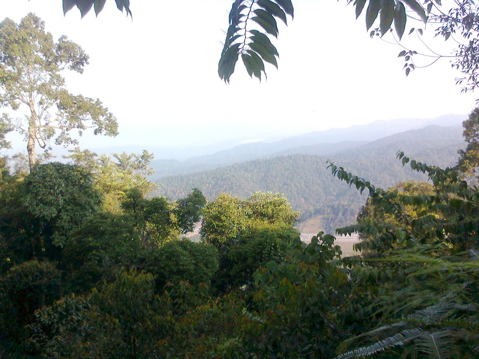 SEGALANYA DISINI: GUNUNG ANGSI,ULU BENDUL