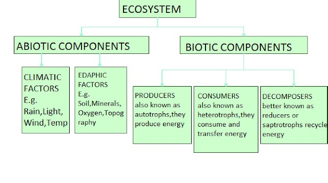 Evs Structure Of Ecosystem