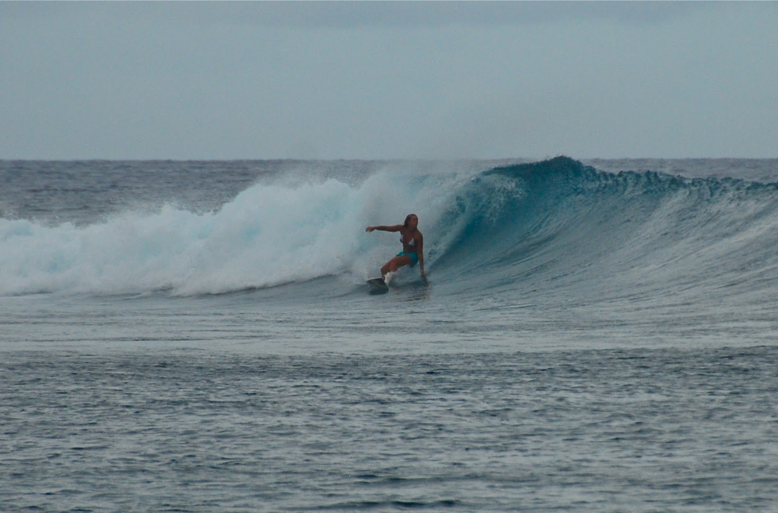 rainejackson: Frigates - FIJI