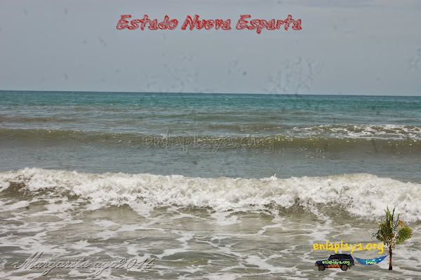 Playa Laguna de la Restinga NE078