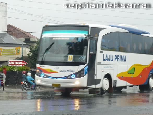 bus laju prima: bus laju prima