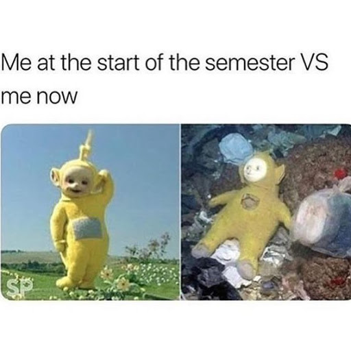 Top viral Funny memes more than 50 memes that you cansave to your Pinterest