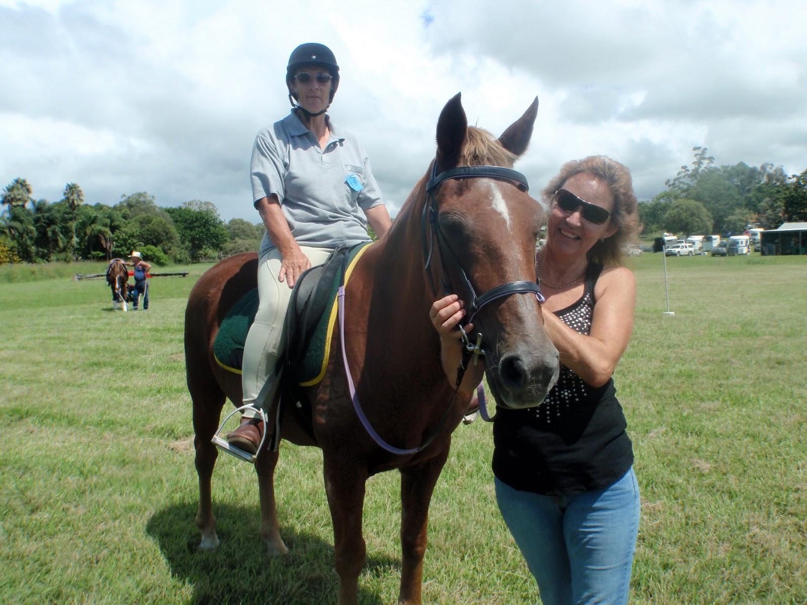 Save a Horse Australia Horse Rescue and Sanctuary: Bobbie is going well